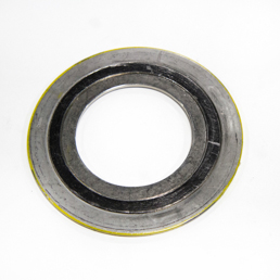 8 FLEX CGI 300# SP WND GSKT GRF FLR 304 WD 304 IR CS OR